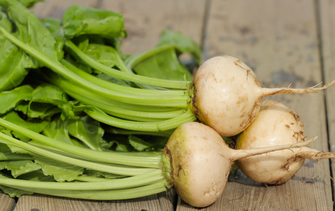 Avalanche Beet - Great Joy Family Farm