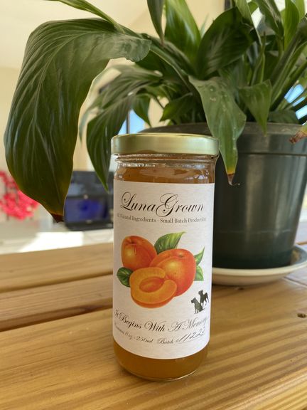Honey Mango Jam - Great Joy Family Farm